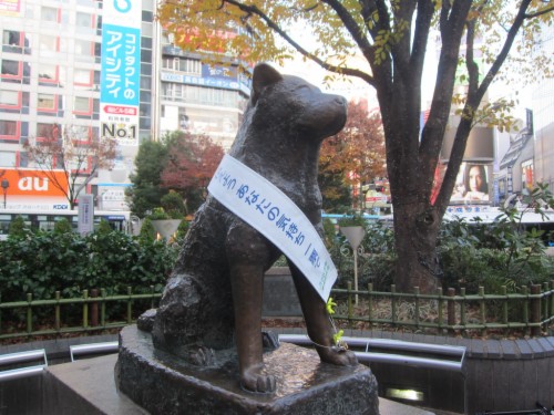 Hachikō Statue - Hachiko Dog (#1802331) - HD Wallpaper & Backgrounds ...