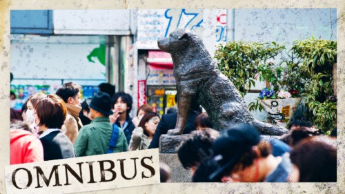 Hachiko - Hachikō (#1802365) - HD Wallpaper & Backgrounds Download