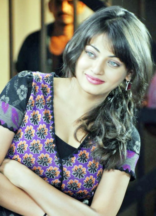 Sneha Ullal Hd Wallpaper - Sneha Ullal Full Hd (#235112) - HD Wallpaper ...
