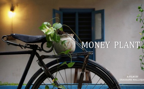 Money Plant Giving Money - Hybrid Bicycle (#1816200) - HD Wallpaper ...