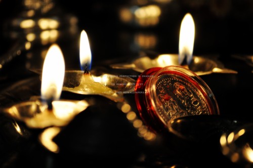 Nature Prosperity (#1816516) - HD Wallpaper & Backgrounds Download