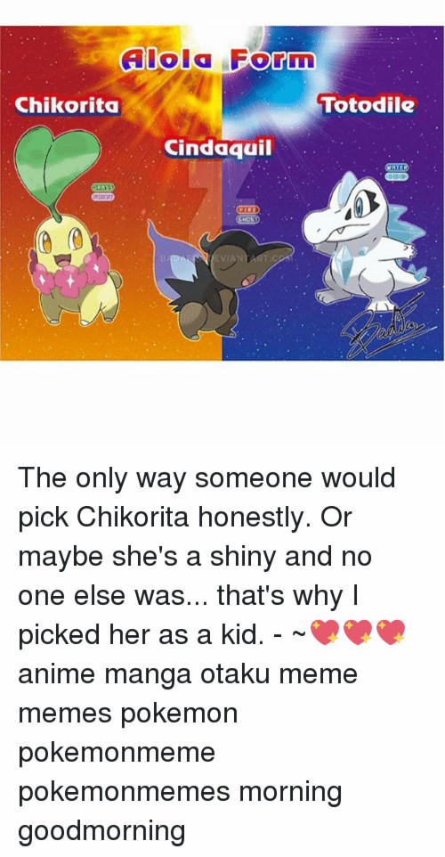 Anime, Meme, And Memes - Pokemon Fan Alola Forms (#1818669) - HD ...