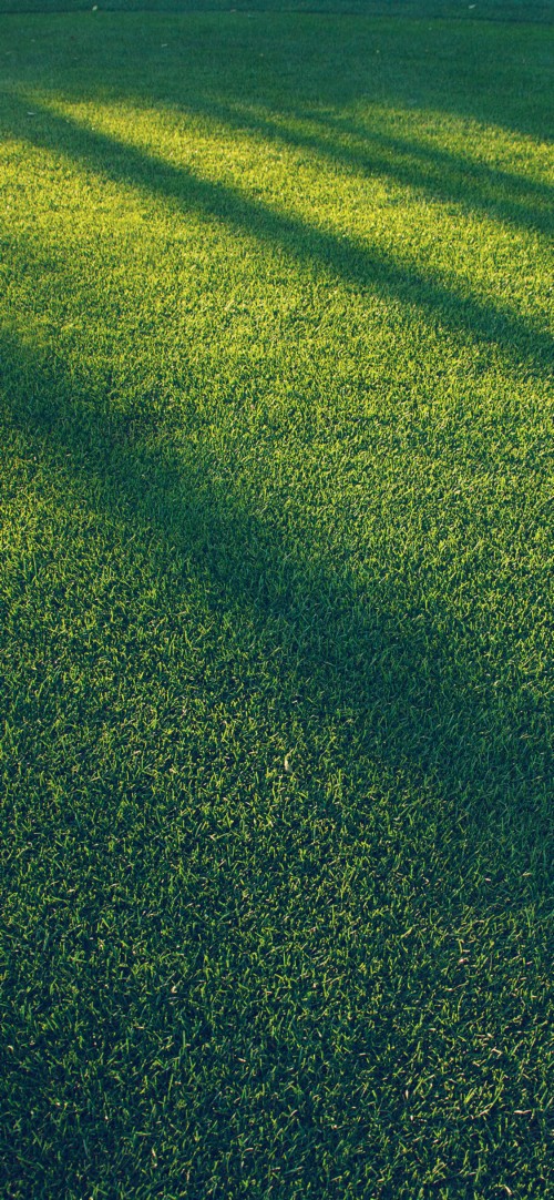 Start Download - Grass (#2052807) - HD Wallpaper & Backgrounds Download
