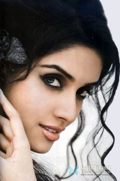 Asin Hd Wallpaper (#1563626) - HD Wallpaper & Backgrounds Download