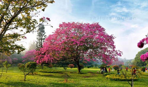 Beautiful Pics Of Bangalore (#1879797) - HD Wallpaper & Backgrounds ...