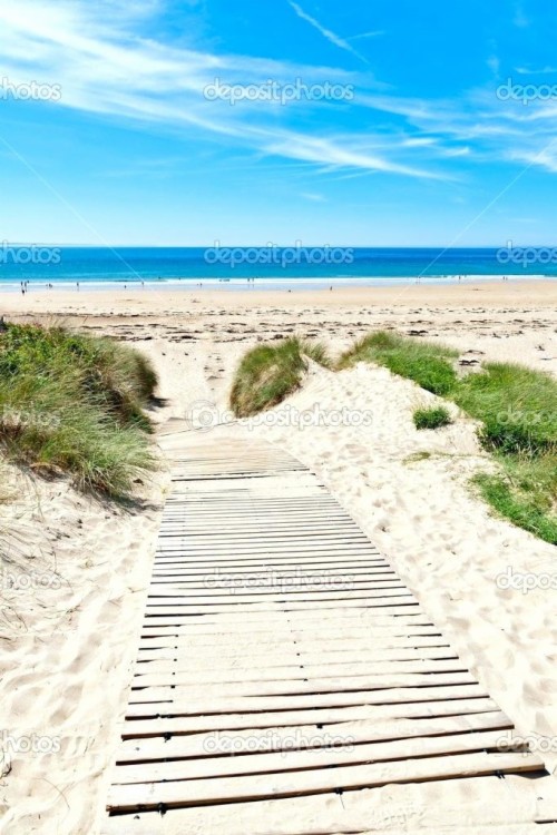 Beach - Beach Wood Path (#1889058) - HD Wallpaper & Backgrounds Download