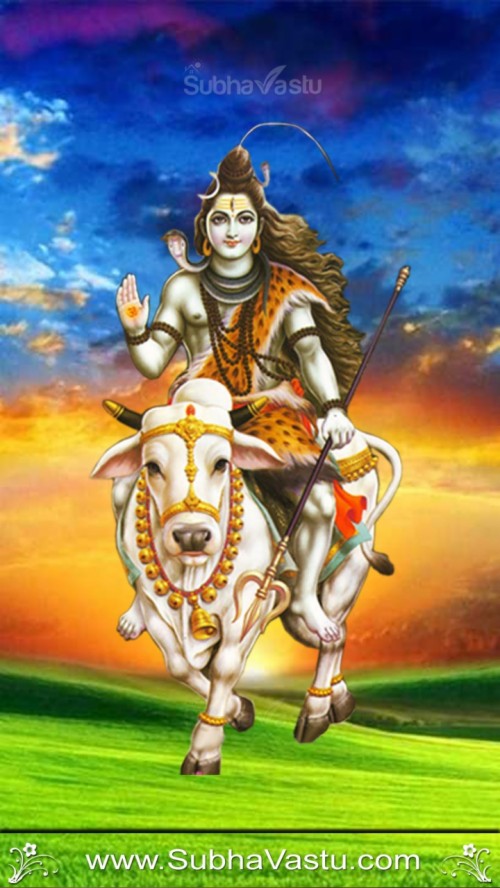 Siva Mobile Wallpaper (#1892161) - HD Wallpaper & Backgrounds Download