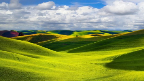 Prairie - Green Landscape Background (#1541402) - HD Wallpaper ...