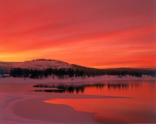 Winter In Pink, Winter, Sunset, Scenic, Pink, Nature, - Sunset ...
