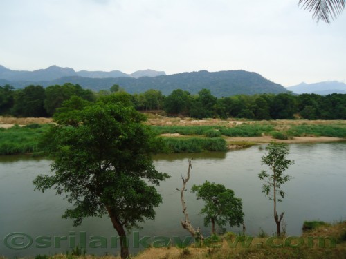 Mahaweli Ganga At Mahiyanganaya - Tree (#1997523) - HD Wallpaper ...