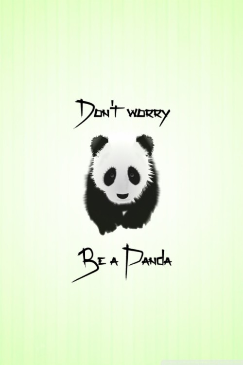 Download Cute Panda Wallpaper - Baby Panda Desktop Background On Itl.cat