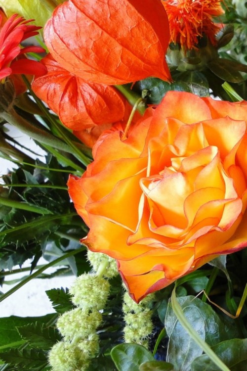 Rose, Flowers, Strauss, Bloom, Orange - Rose (#2047406) - HD Wallpaper ...