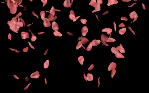 Rose Petals - Rose Petals Steam Background (#2047746) - HD Wallpaper ...
