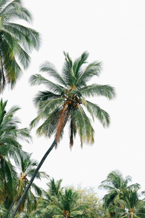 @polyy17 😍😍😍😍 Credits - Samudra (#2058350) - HD Wallpaper & Backgrounds ...