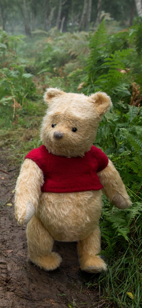 Winnie The Pooh Christopher Robin (#2088707) - HD Wallpaper ...