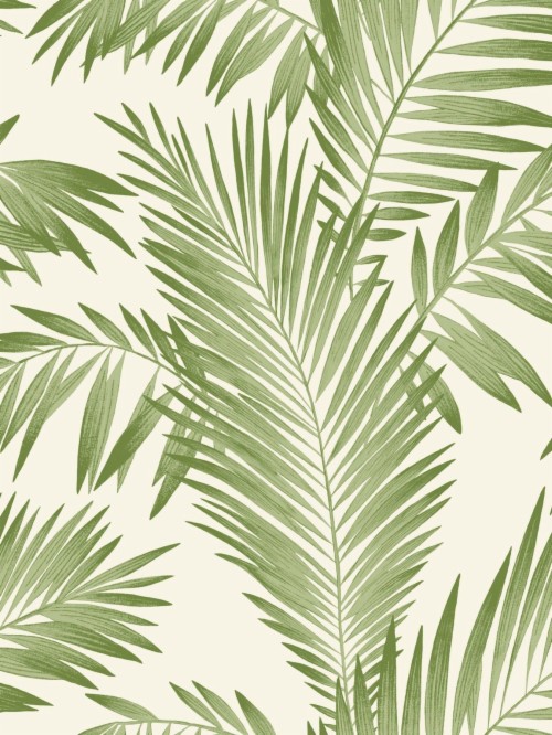 Palm Print Wallpaper - Palm Leaf Wallpaper Decor (#503442) - HD ...