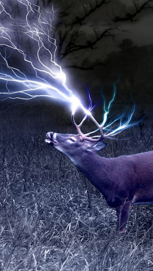 Animals Wallpapers Iphone - Lightning Deer (#2134200) - HD Wallpaper ...