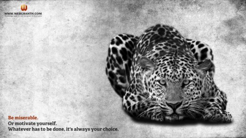 Animals / Cheetah Wallpaper (#379405) - HD Wallpaper & Backgrounds Download