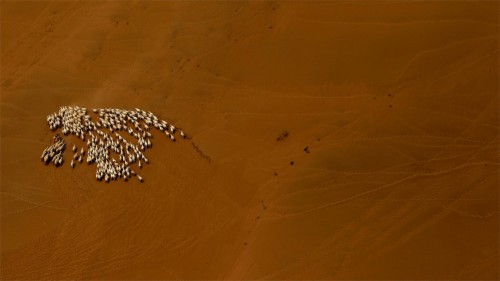 Singing Sand (#2984855) - HD Wallpaper & Backgrounds Download