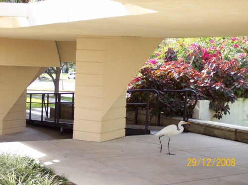 Sanne Emborg And Srinivas At The Courtyard By Marriott - Courtyard ...