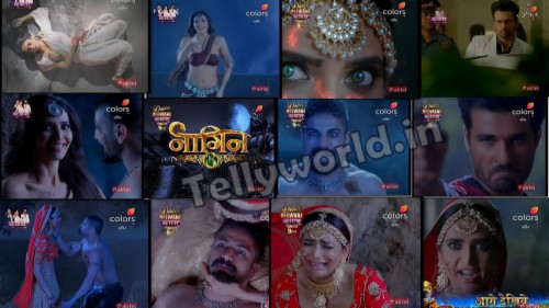 Nagin Serial Wallpaper - Naagin Colors (#229248) - HD Wallpaper ...