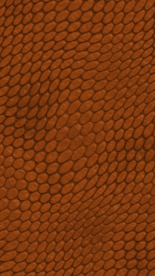 Pet, Snakes, Wildlife, Dog Breed, Snake Wallpaper For - Домашні Тварини ...