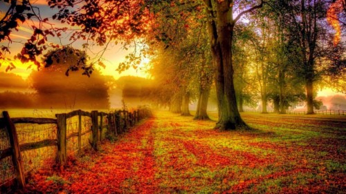 Profile Pictures Wallpaper By Suggest Backgrounds For - Steam Profile ...