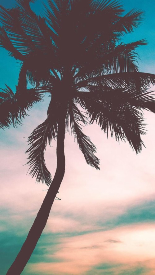 10000 Wallpapers (#2256863) - HD Wallpaper & Backgrounds Download