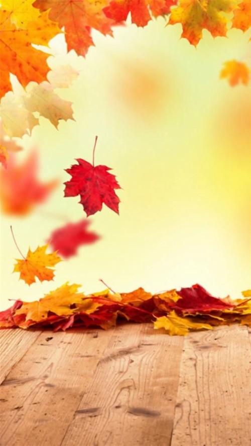 Fall Wallpaper - Wallpaper (#56733) - HD Wallpaper & Backgrounds Download