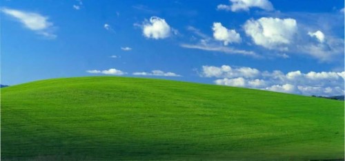 Windows Xp Animated (#2294043) - HD Wallpaper & Backgrounds Download