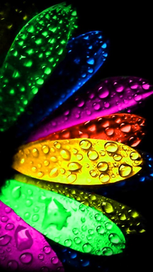 Cool - Background For Home Screen (#466751) - HD Wallpaper ...