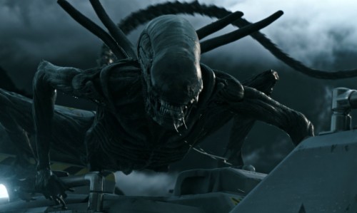 Alien Covenant 4k Cool Wallpaper For Pc - Xenomorph Alien Covenant ...