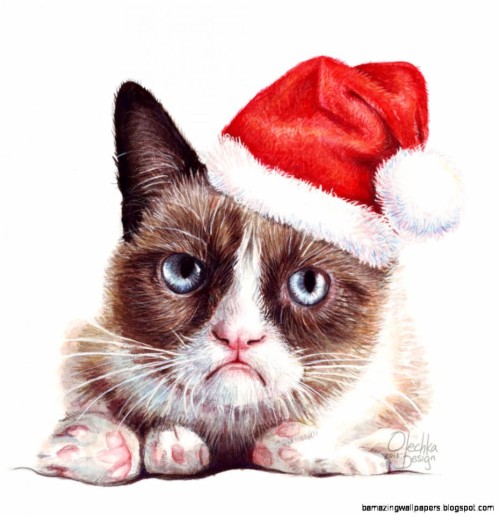 Santa And Grumpy Cat (#2323721) - HD Wallpaper & Backgrounds Download