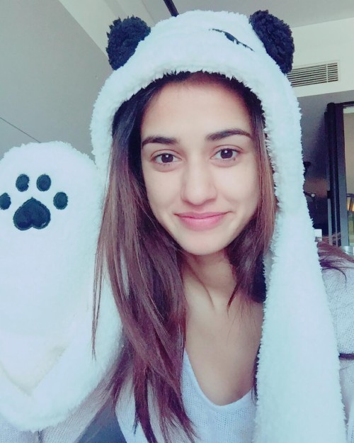 Disha Patani Sweet Pictures - Disha Patani Cute (#2448873) - HD ...