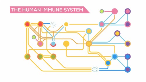 Immune System Kurzgesagt (#2464832) - HD Wallpaper & Backgrounds Download