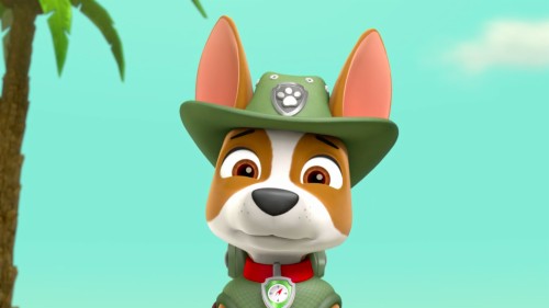 Paw Patrol Wallpapers Wallpaper Cave - Paw Patrol Pups Save Take Flight ...