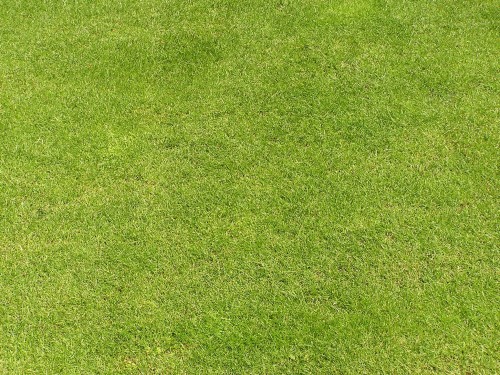 Green Texture Ground (#2498033) - HD Wallpaper & Backgrounds Download