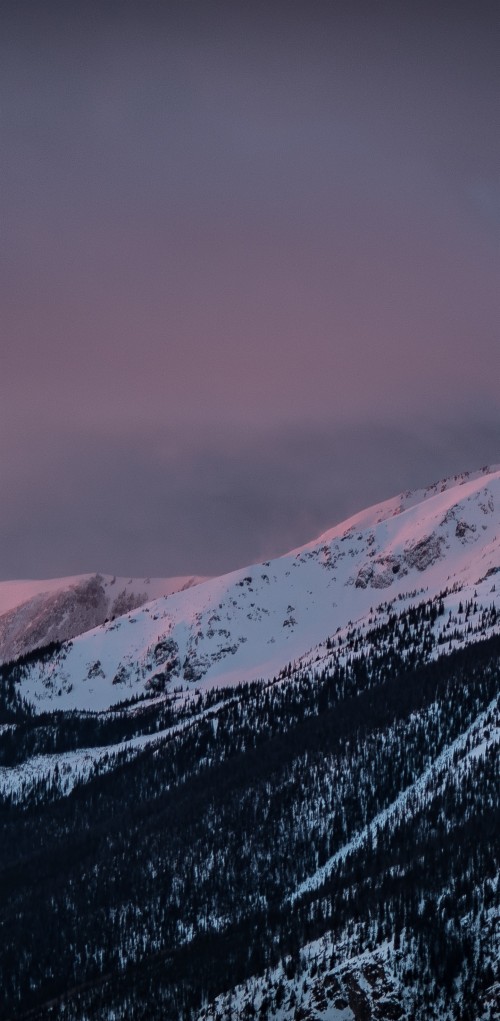 Elmo With Doritos And Mountain Dew (#278888) - HD Wallpaper ...