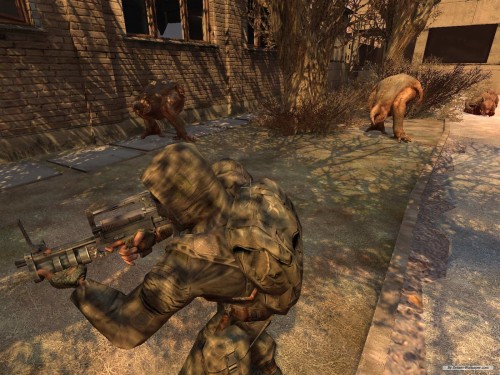 Free Game Wallpaper - Stalker (#2583352) - HD Wallpaper & Backgrounds ...