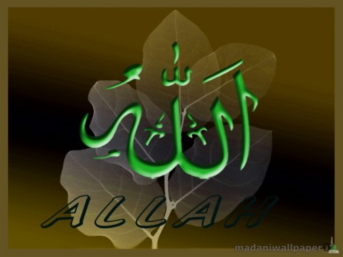 Wallpaper Allah Bergerak - Allah Name In Green Colour (#455902) - HD ...