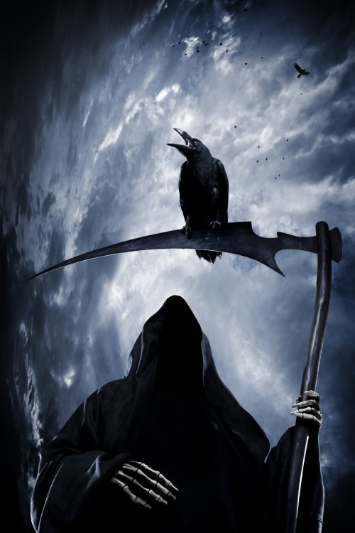Wallpaper - Grim Reaper And Crow (#2609675) - HD Wallpaper ...