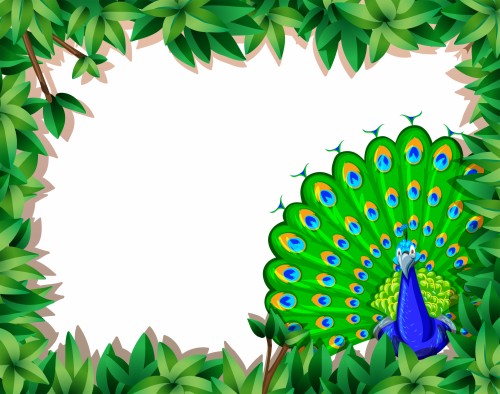 Peacock Border Designs (#1915377) - HD Wallpaper & Backgrounds Download