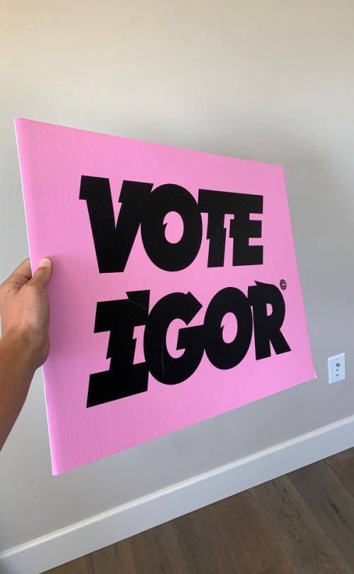 Tyler The Creator Vote Igor Poster (#2834661) - HD Wallpaper ...