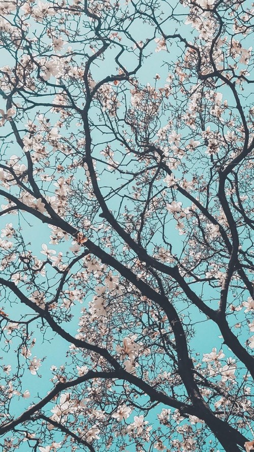 Boring Background (#2847861) - HD Wallpaper & Backgrounds Download