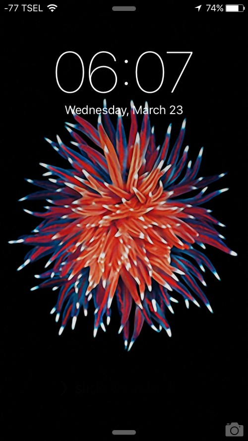 Iphone Se 2020 Wallpaper Hd (#2945940) - HD Wallpaper & Backgrounds ...