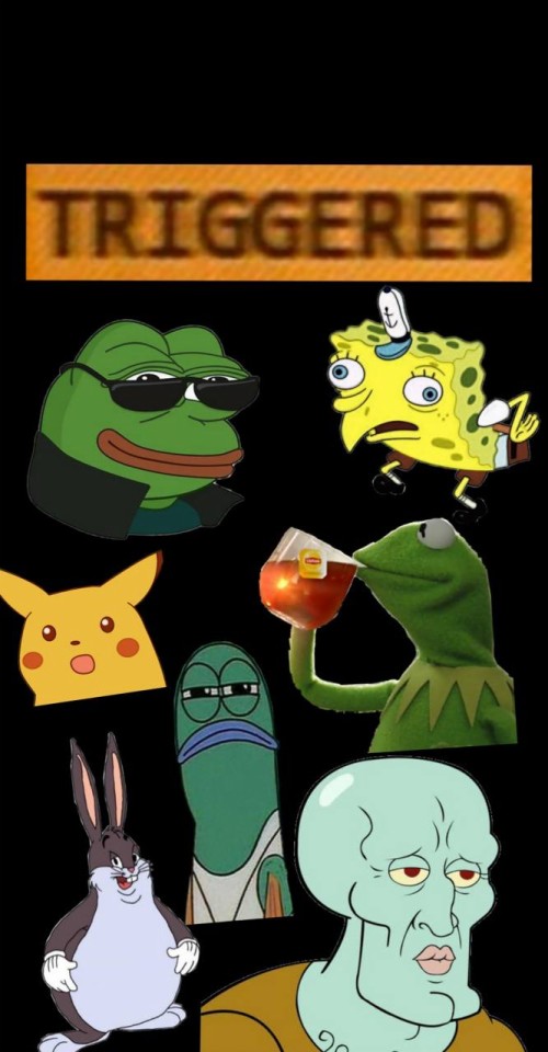 Funny Memes - Funny Memes Hd (#1548491) - HD Wallpaper & Backgrounds ...