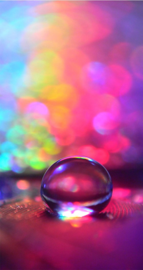 Nice View (#3221134) - HD Wallpaper & Backgrounds Download