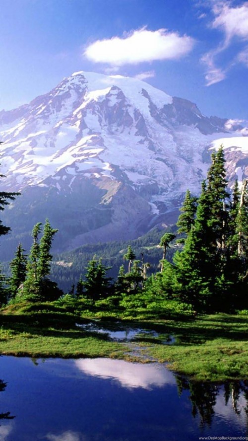 Nice View (#3221134) - HD Wallpaper & Backgrounds Download