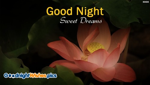 Simple Good Night Wishes (#516315) - HD Wallpaper & Backgrounds Download
