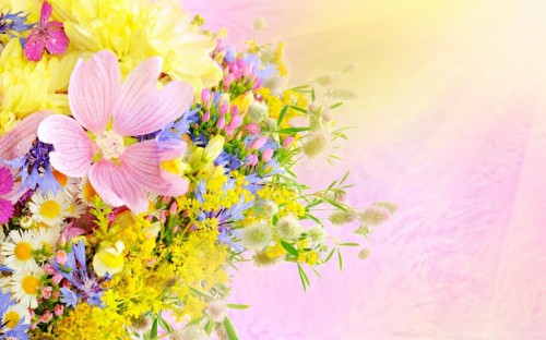 Lovely Flowers Wallpapers - Flowers Themes (#2880511) - HD Wallpaper ...
